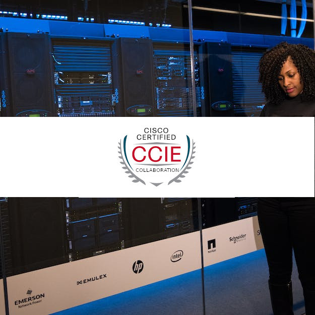 Courses – IP Rulers