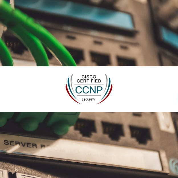 Courses – IP Rulers